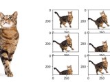 Data Augmentation Techniques For Enhanced Machine Learning